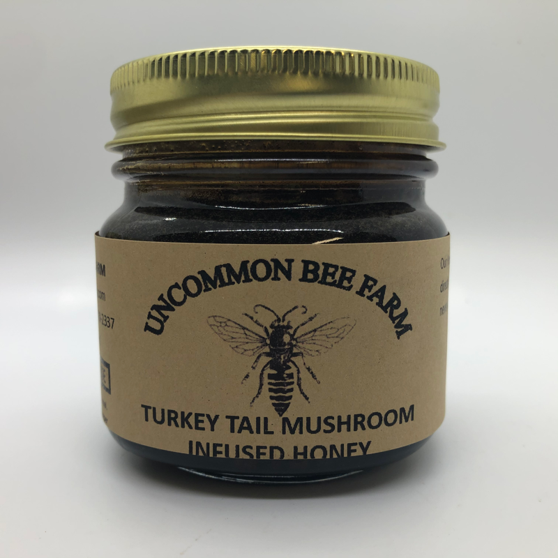Turkey Tail Mushroom Infused Honey | Uncommon Bees